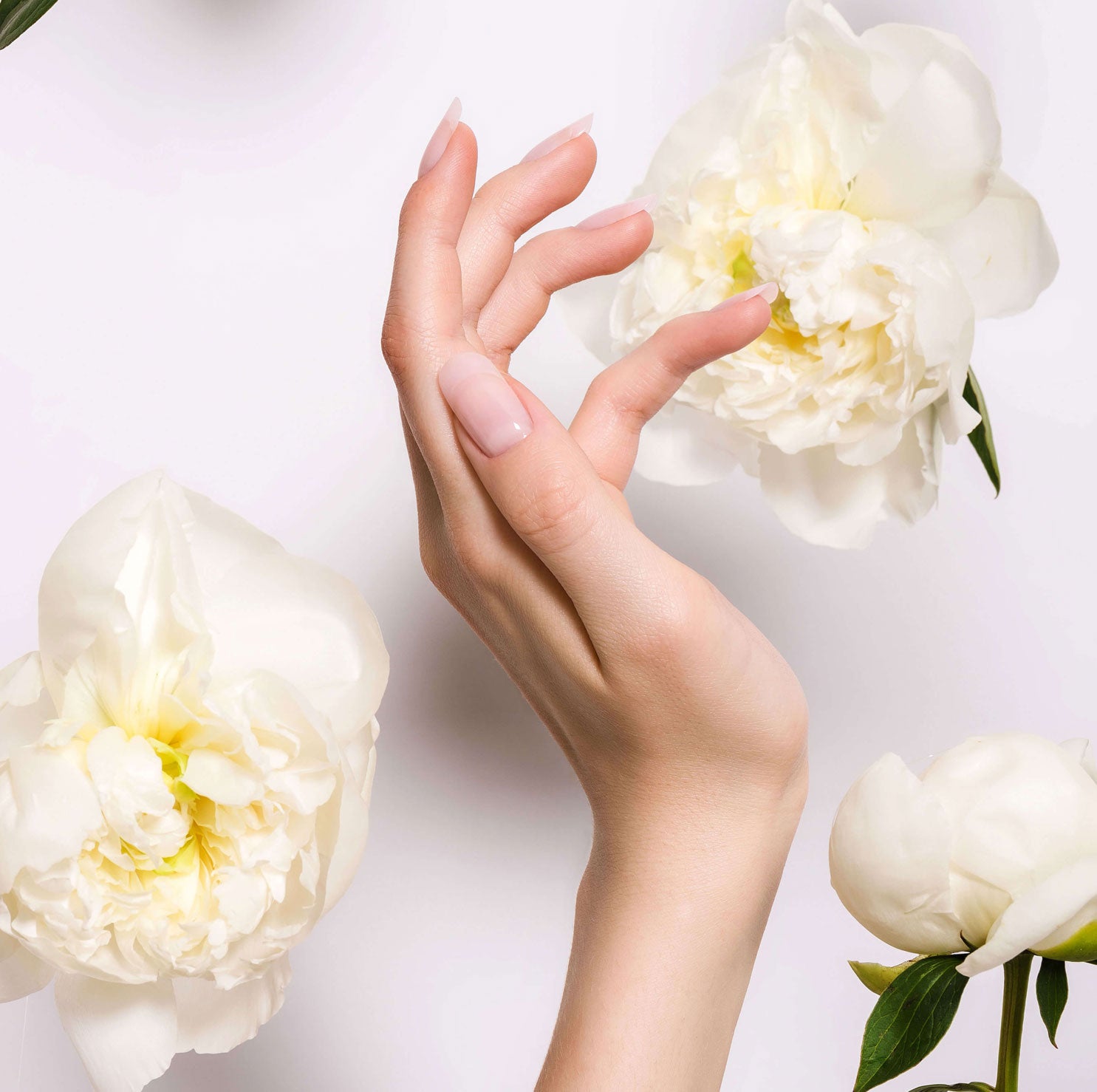 OVERPOLISH - trattamento semipermanente con olio di semi di lino ...